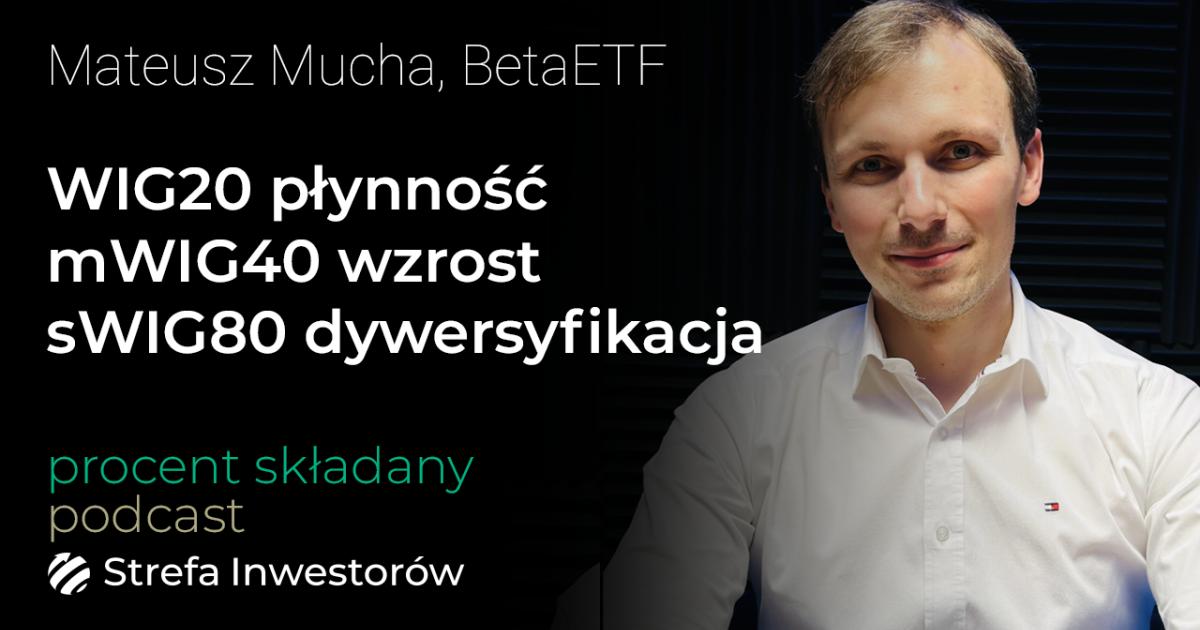 Inwestowanie w fundusze ETF. Dlaczego warto z nich korzystać aktywnie i pasywnie - Mateusz Mucha