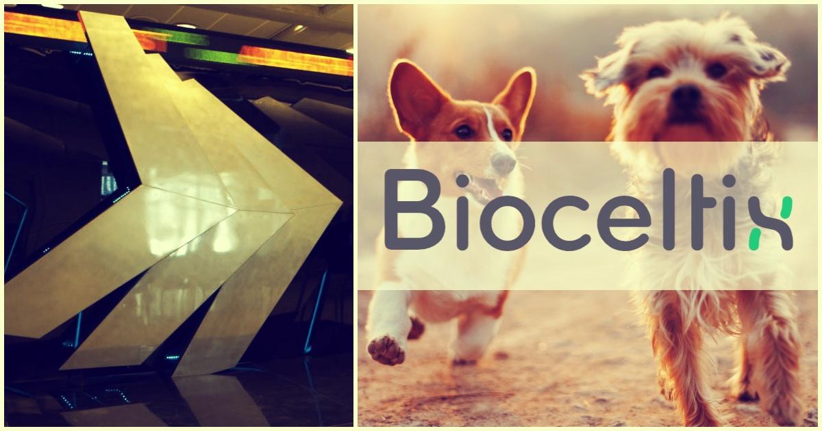 Bioceltix, spółka biotechnologiczna rozpoczyna ofertę akcji i planuje ...