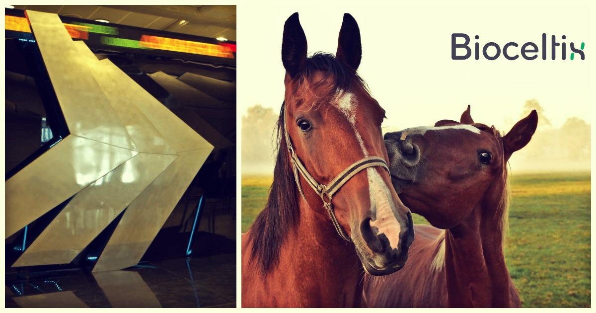 Dziś ostatni dzień zapisów w ofercie Bioceltix – biotechnologicznej ...