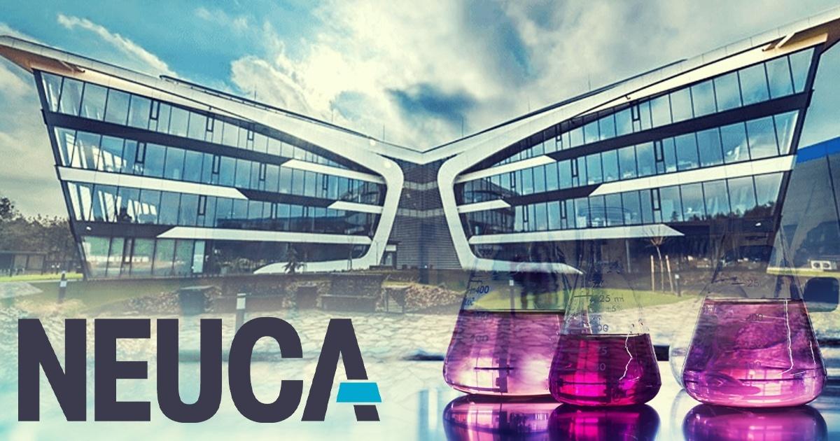 Rekordowa dywidenda w Grupie Neuca w 2025 roku. Wartość wypłat dla ...