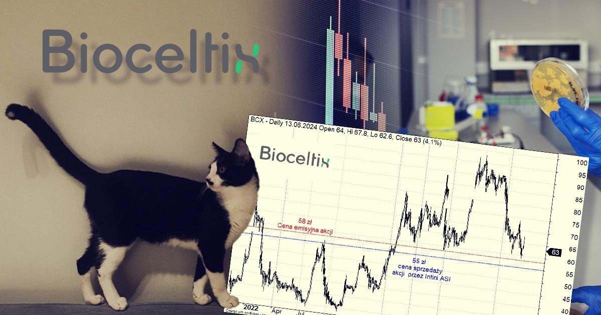 Bioceltix ustalił cenę emisyjną akcji. Inwestorzy złożyli zapisy na ...