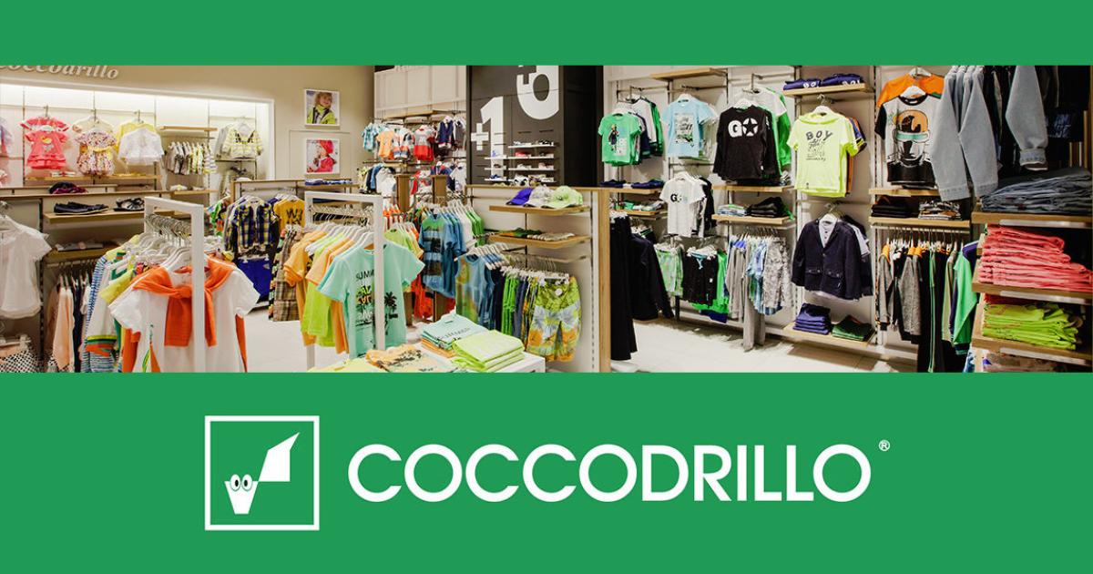 CDRL ze wzrostem przychodów w I półroczu w polskim kanale e-commerce o ...