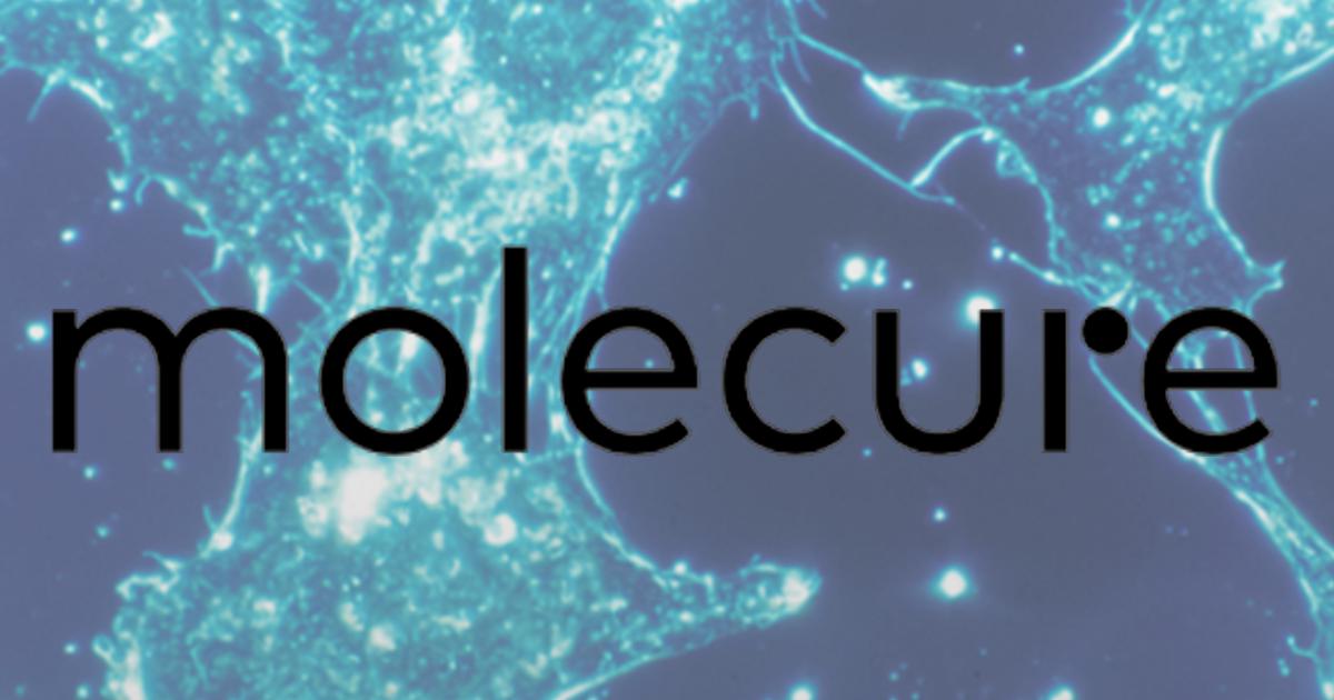 Molecure aktualizuje strategię rozwoju na lata 2023-2025