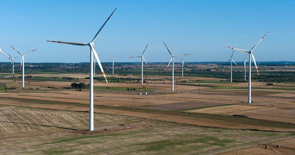 Adam Purwin powołany na stanowisko prezesa Polenergii nowej kadencji